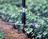 Nebraska Irrigation | Senninger Quad Sprays